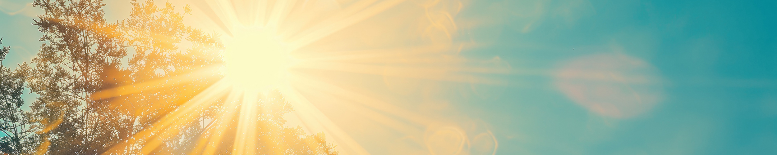 The Science of HALS: Protecting Plastics from UV Damage - 3V Sigma USA